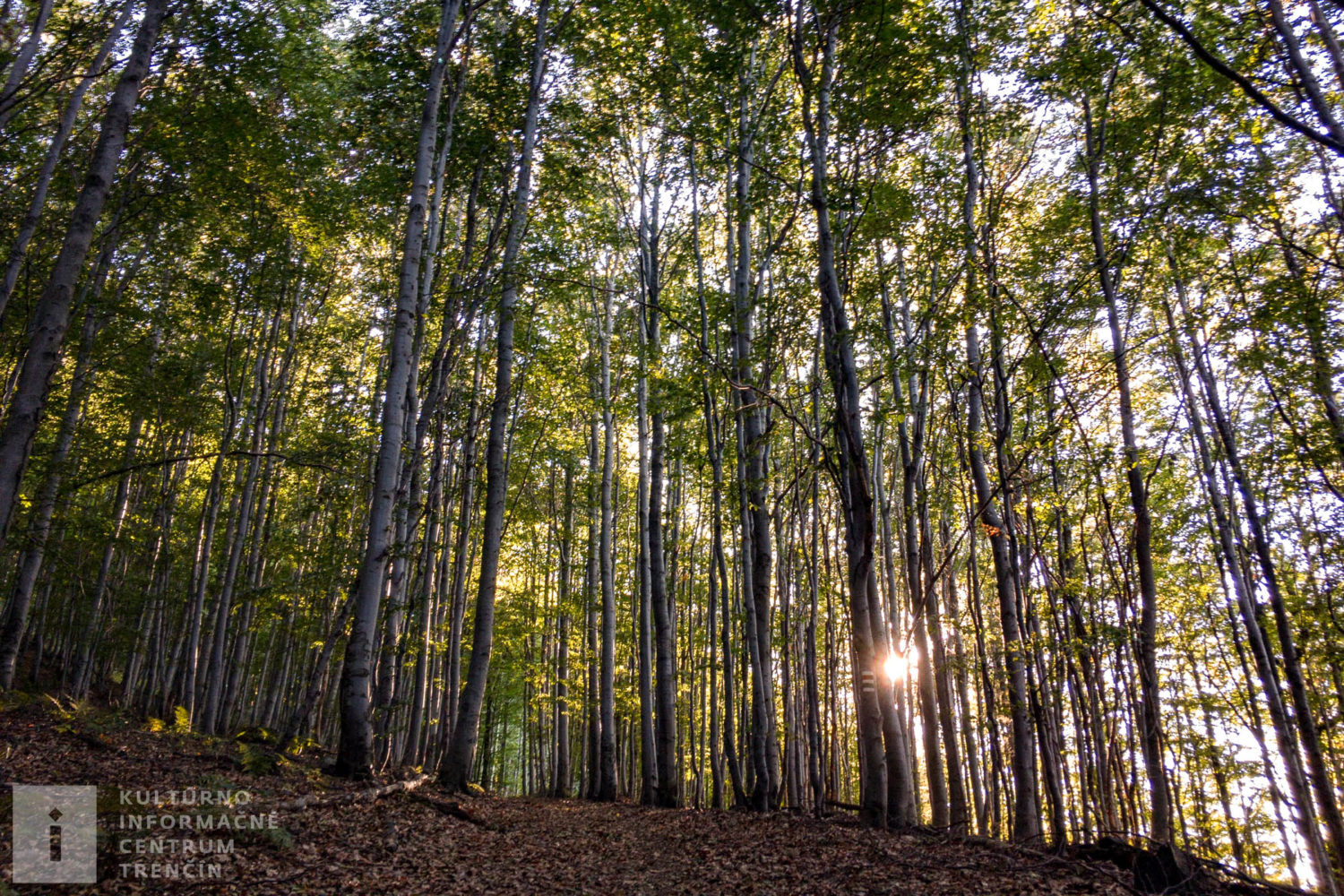 Považský Inovec » Visit Trenčín