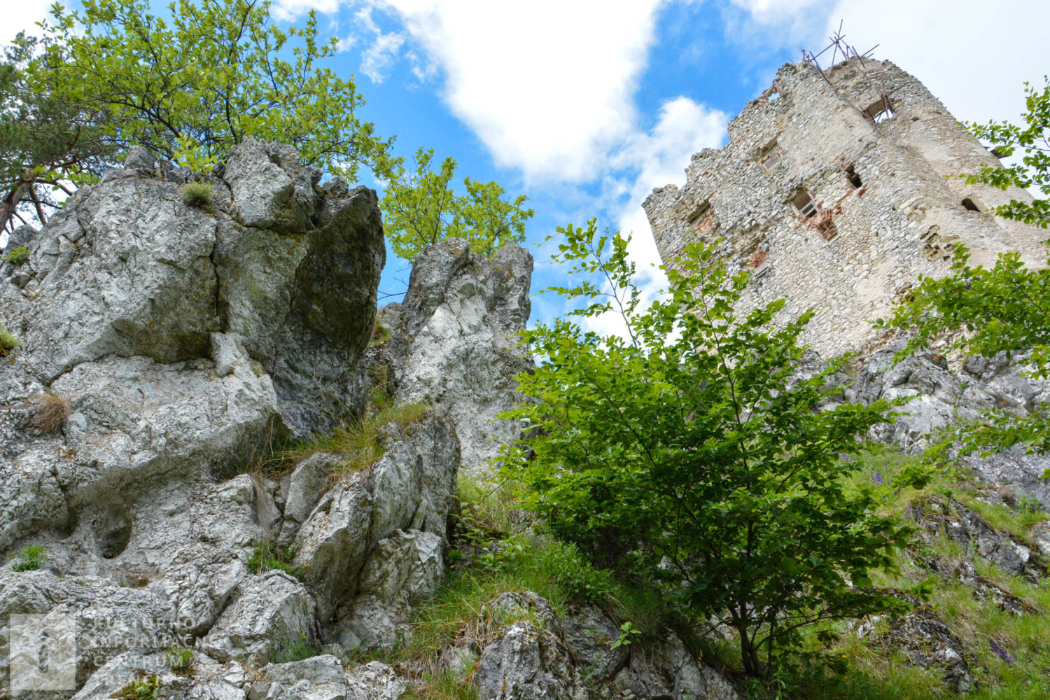 Hrad Uhrovec » Visit Trenčín » Výlety do okolia